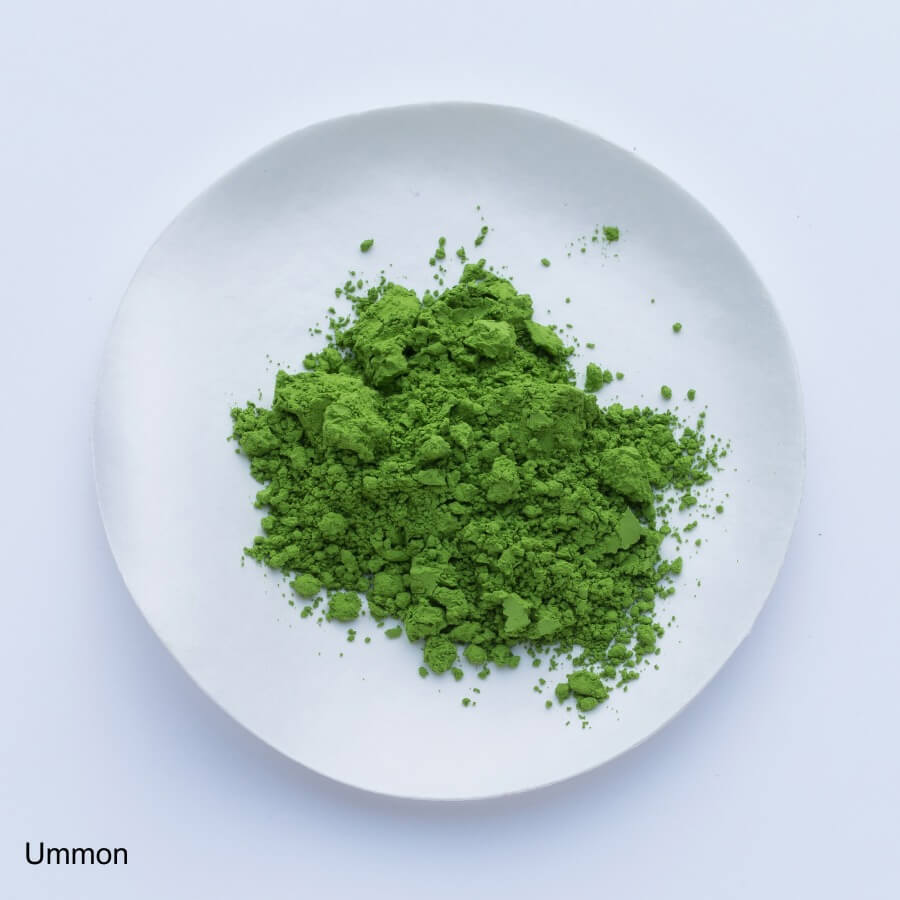 Ippodo Tea - Ummon Matcha (40g Can) - For Usucha and Koicha - Rich ...